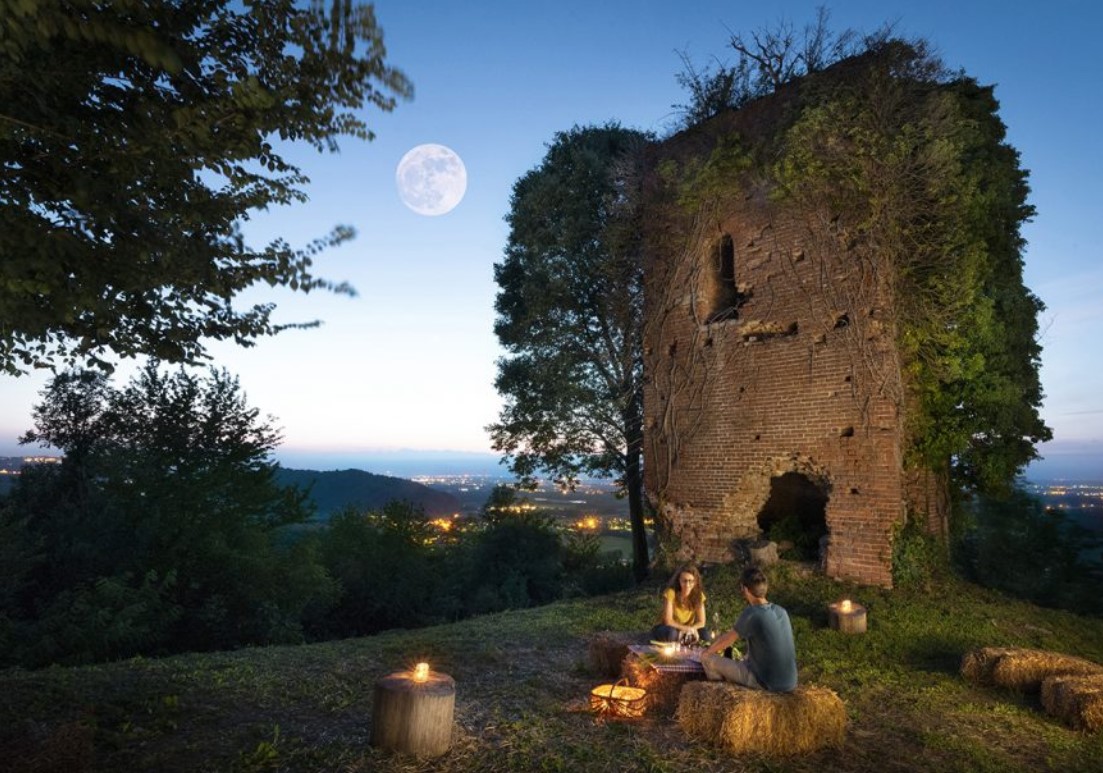 Degustazioni vini in Piemonte: Le 10 migliori - Holidoit