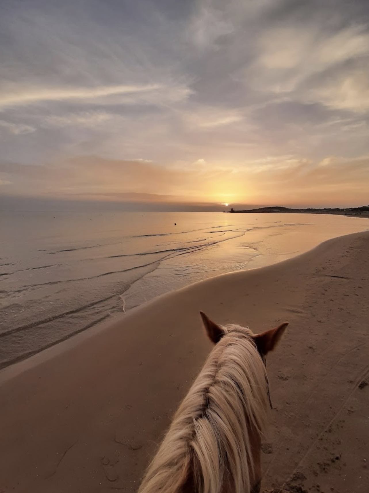 Passeggiate a Cavallo in Puglia: Le 7 migliori - Holidoit